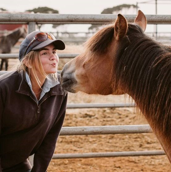 Perth Now – 4BP Horses Australia