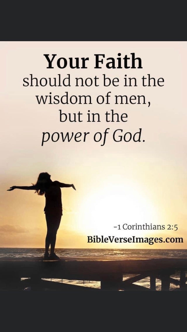 Psalm 1 – 4BP Horses Australia